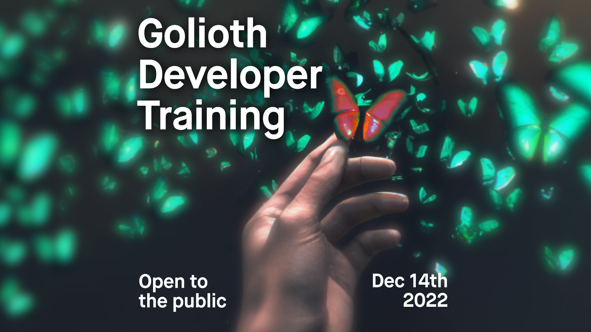 Golioth Developer Training Open To The Public On Dec 14th The 3126
