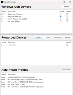 USB support in WSL2 - now with a GUI! - The Golioth Developer Blog